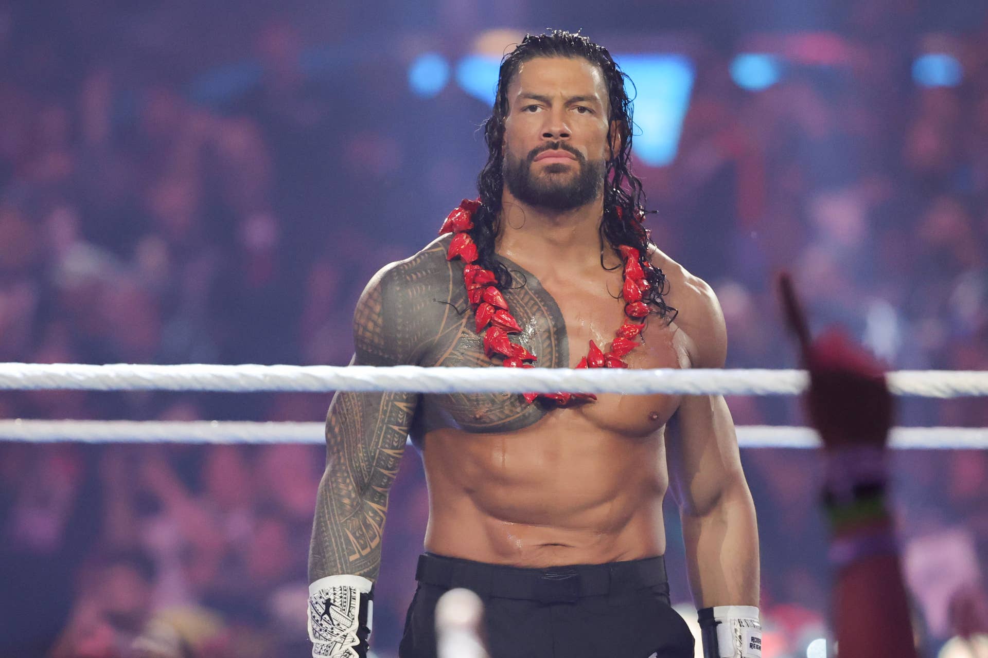 Roman Reigns Revealed Air Jordan Concord 11 Boots and Attire At ...