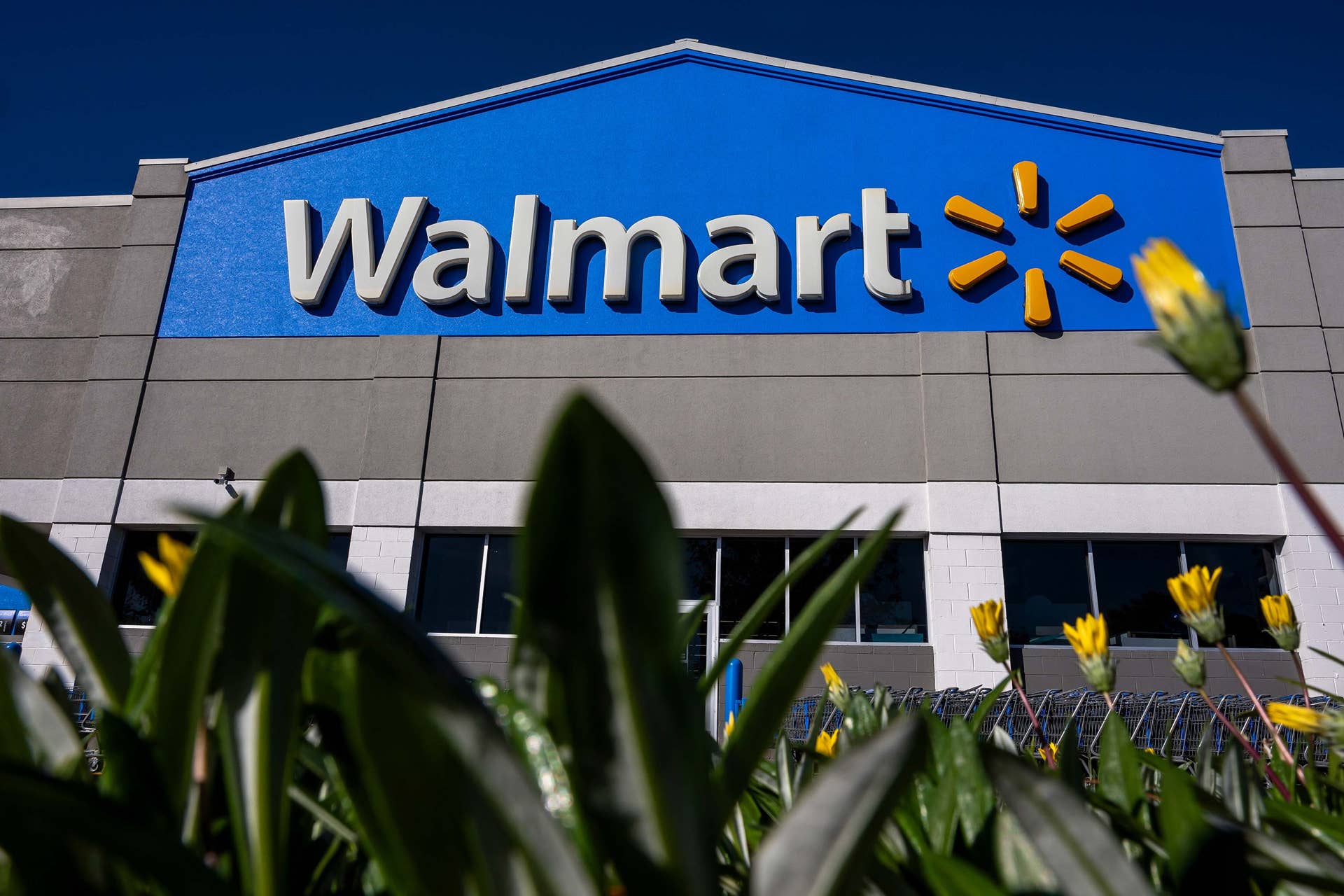 Walmart Is Selling ‘Nice Looking' Door Mats for Only $13: 'Easy to ...