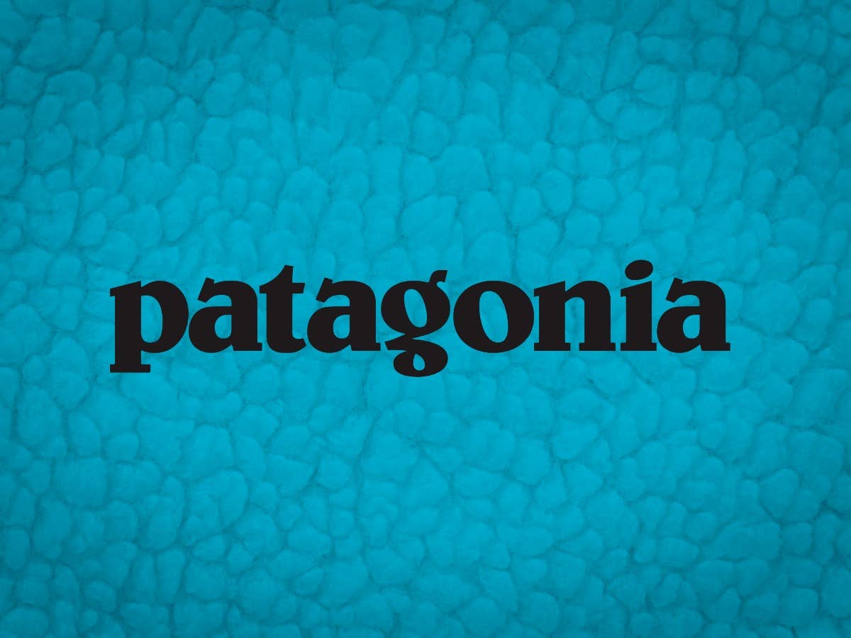 Winter Clothing Deal: Patagonia’s ‘Super Comfortable’ Retro Fleece ...