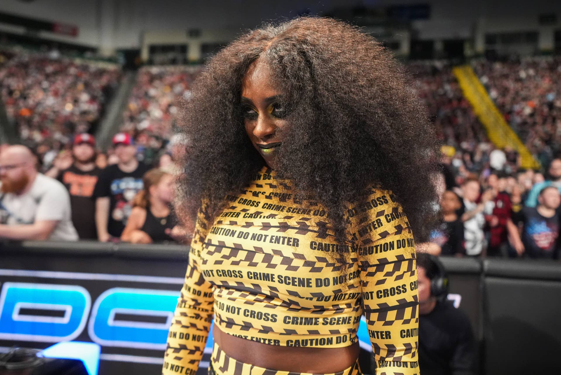 The Bloodline: Newest Member Debuts Online, Kicks a WWE World Champion ...