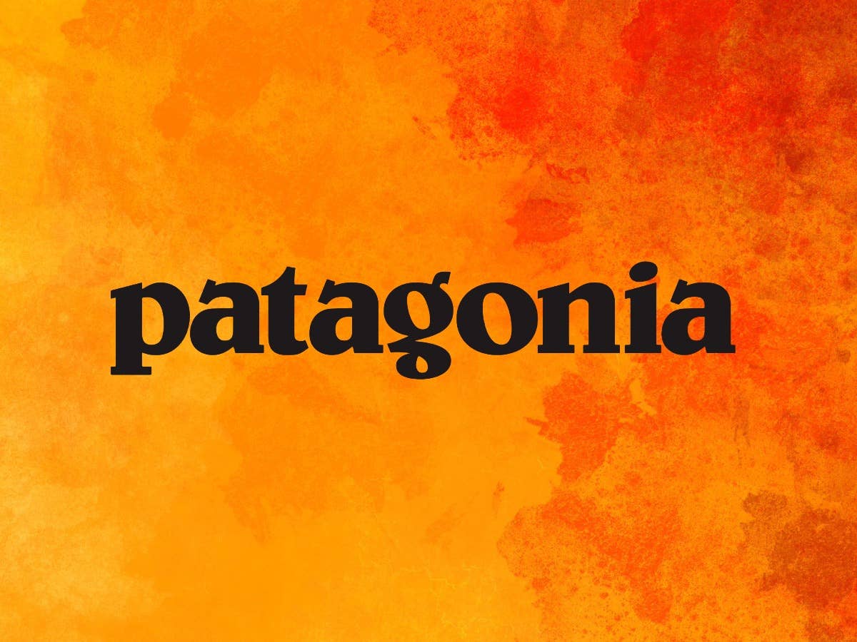 Patagonia’s ‘Cozy’ $129 Half-Zip Fleece Pullover Is Now Just $64 - Athlon