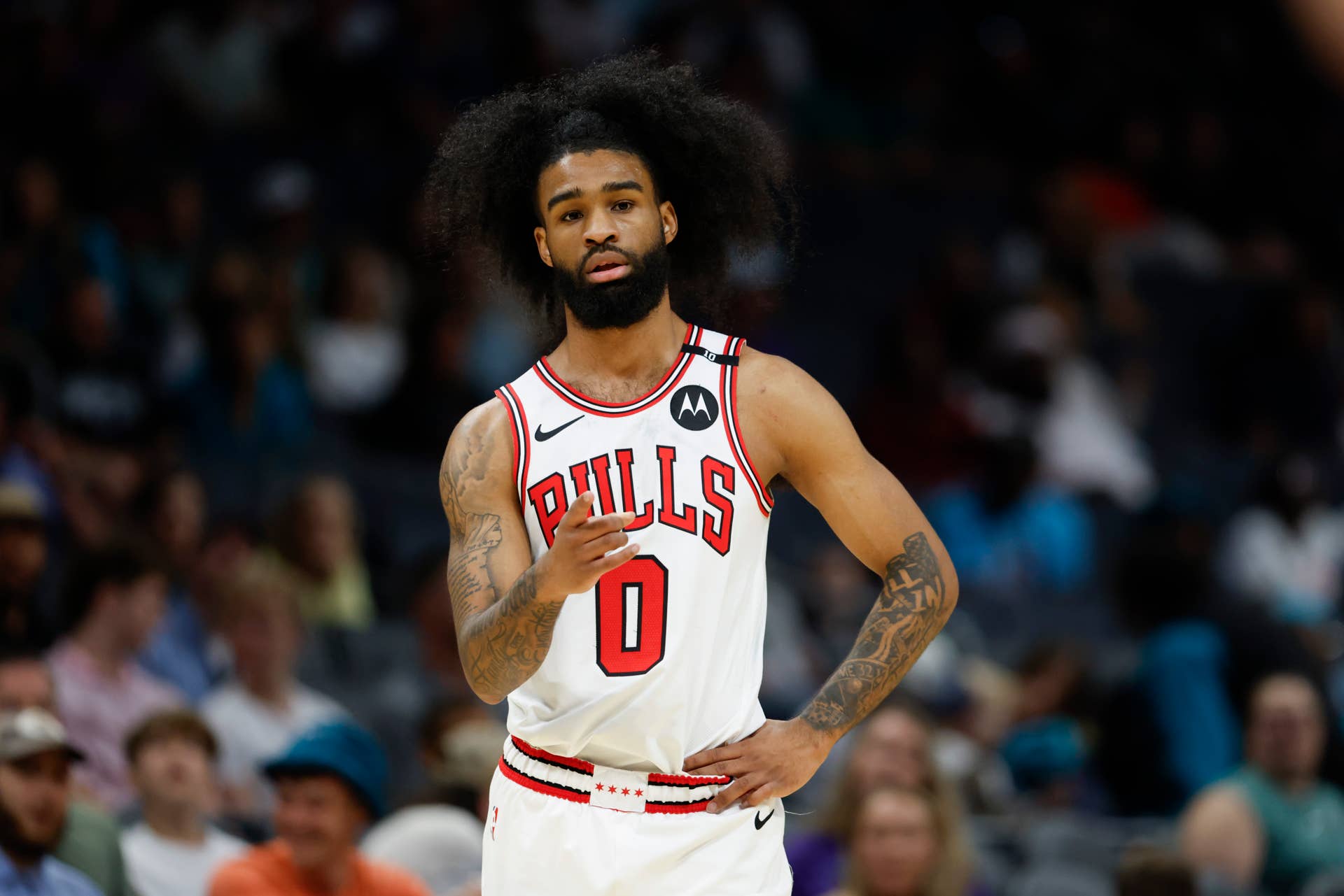 Hornets Reloaded: Why Charlotte Became a Sneaky Fantasy Gold Mine Post ...
