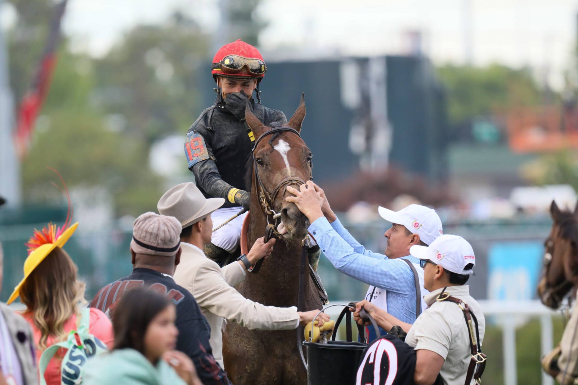 Who Is Golden Tempo? Meet the 152nd Kentucky Derby Winner - Athlon Sports