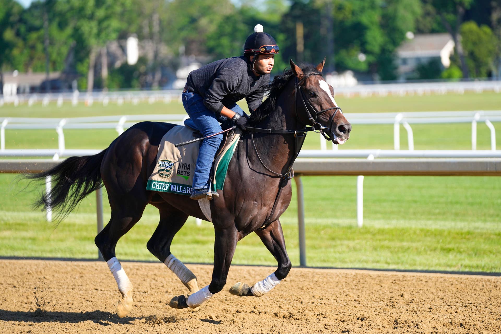 2026 Belmont Stakes Post Positions: Full List of Horses, Jockeys and ...
