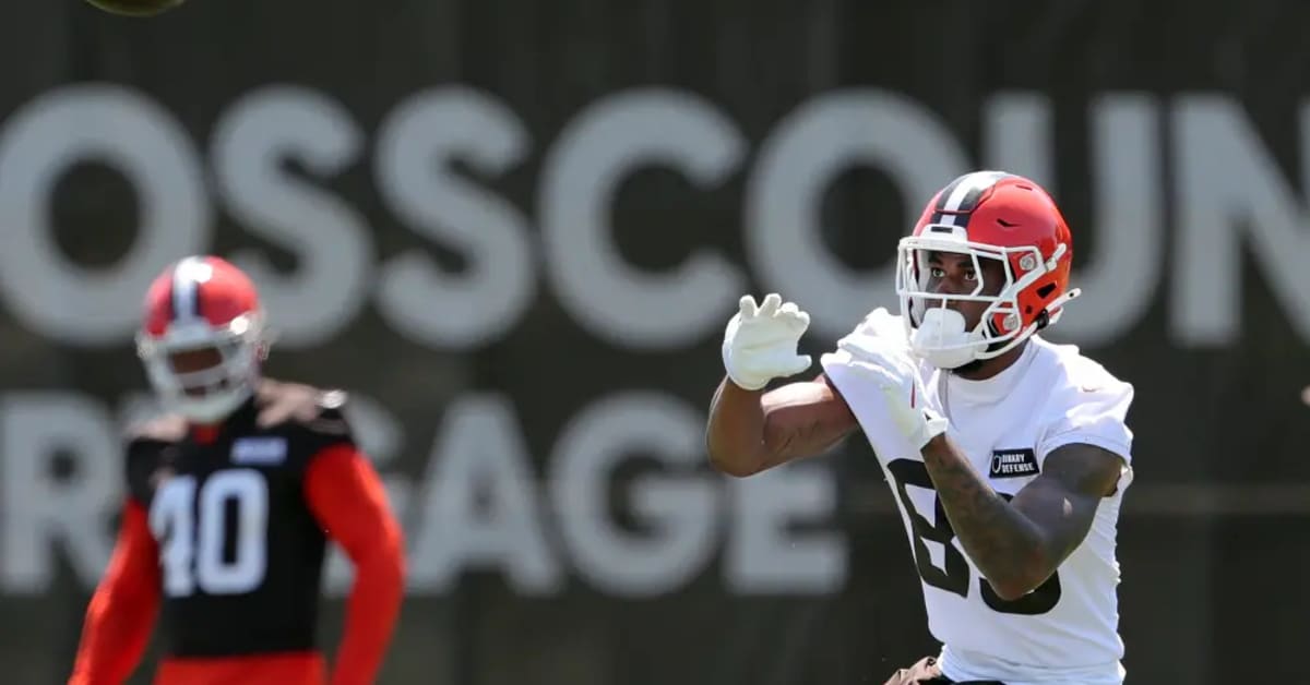 Cleveland Browns Release Seattle Seahawks Ex Matt Landers; Sign Brandon ...