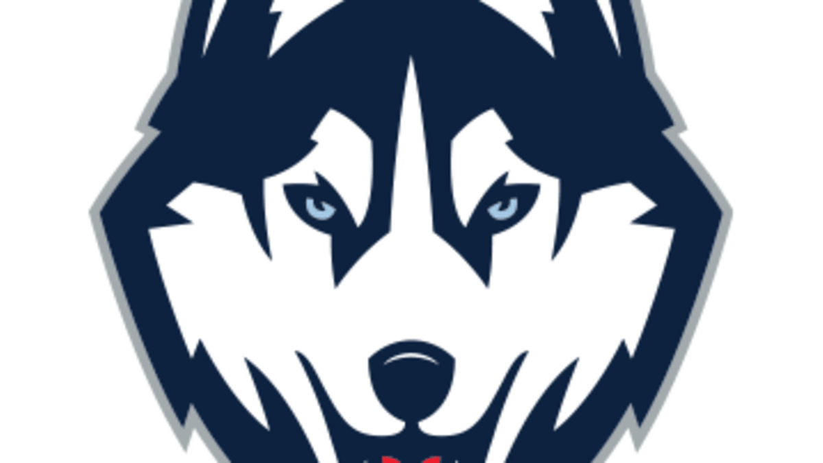 Connecticut huskies store