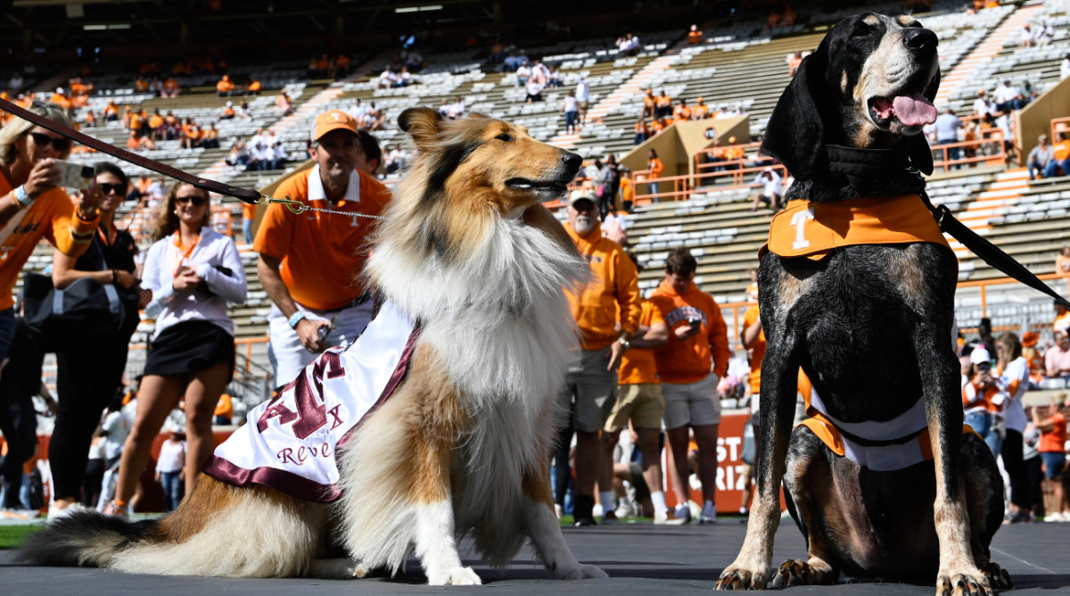 Best College Football Mascots: Ranking the 5 That Best Embody the Sport ...