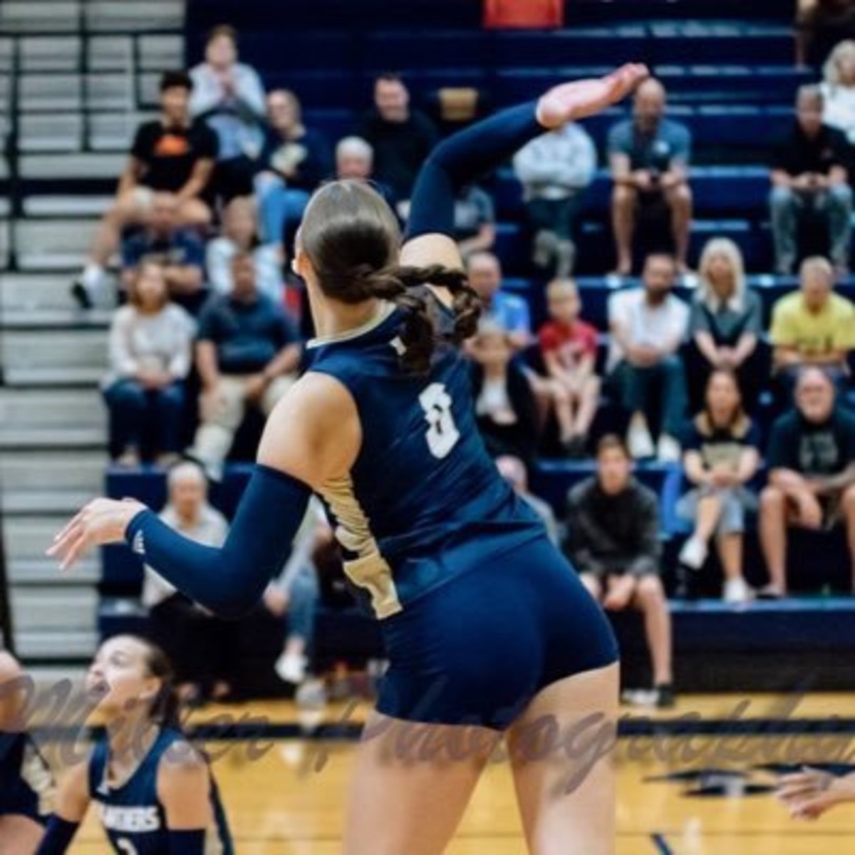 Pitt Panthers Volleyball Gains Another Major Recruit - Athlon Sports