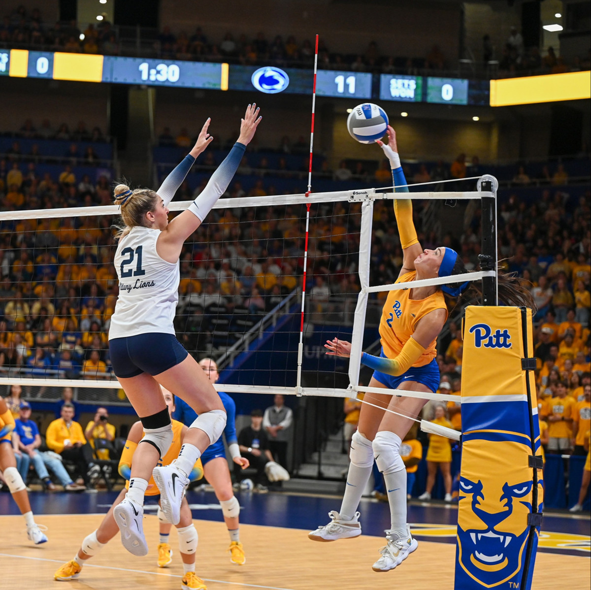 Pitt And Penn State Renew Rivalry On The Volleyball Court - Athlon Sports