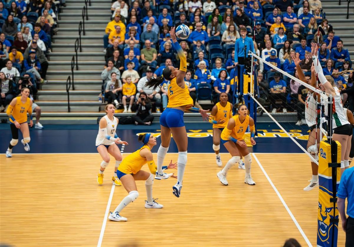 Pitt And Penn State Renew Rivalry On The Volleyball Court - Athlon Sports
