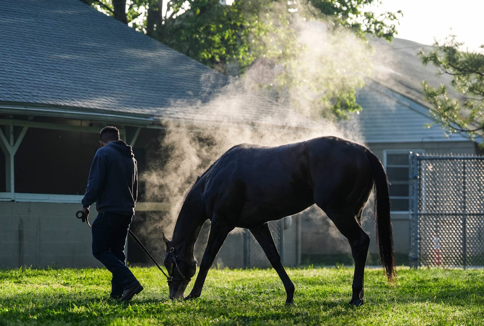 Equestrian Fans Left Stunned After Nurse Tries To Poison Horse - Athlon ...