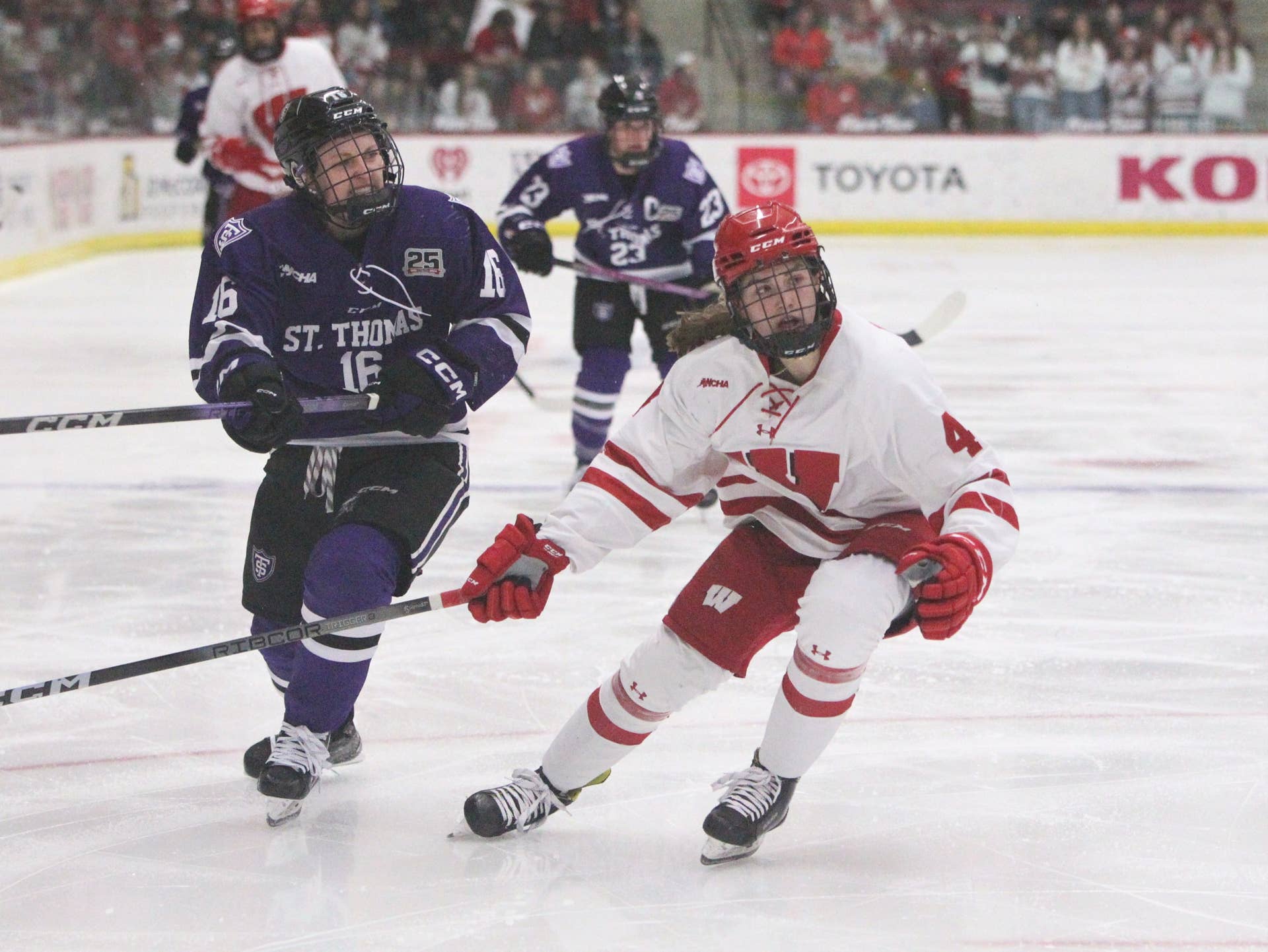 Wisconsin Women's Hockey: The Good and Bad in Tie with #11 St. Cloud ...
