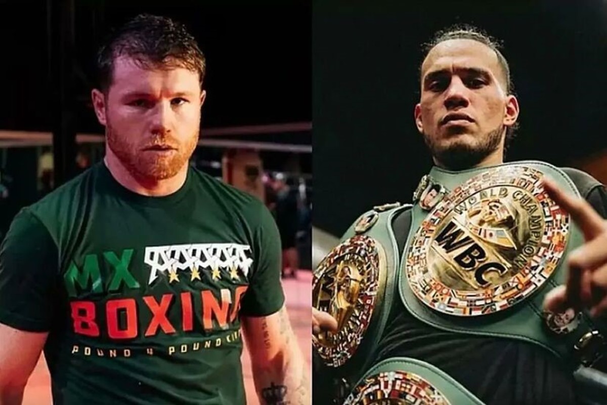 Floyd Mayweather Challenges Canelo Alvarez: "Face Benavidez Or Stop The ...