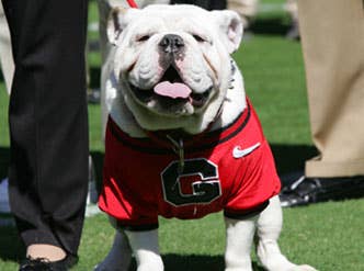 Georgia Bulldogs 2012 Spring Preview - Athlon Sports