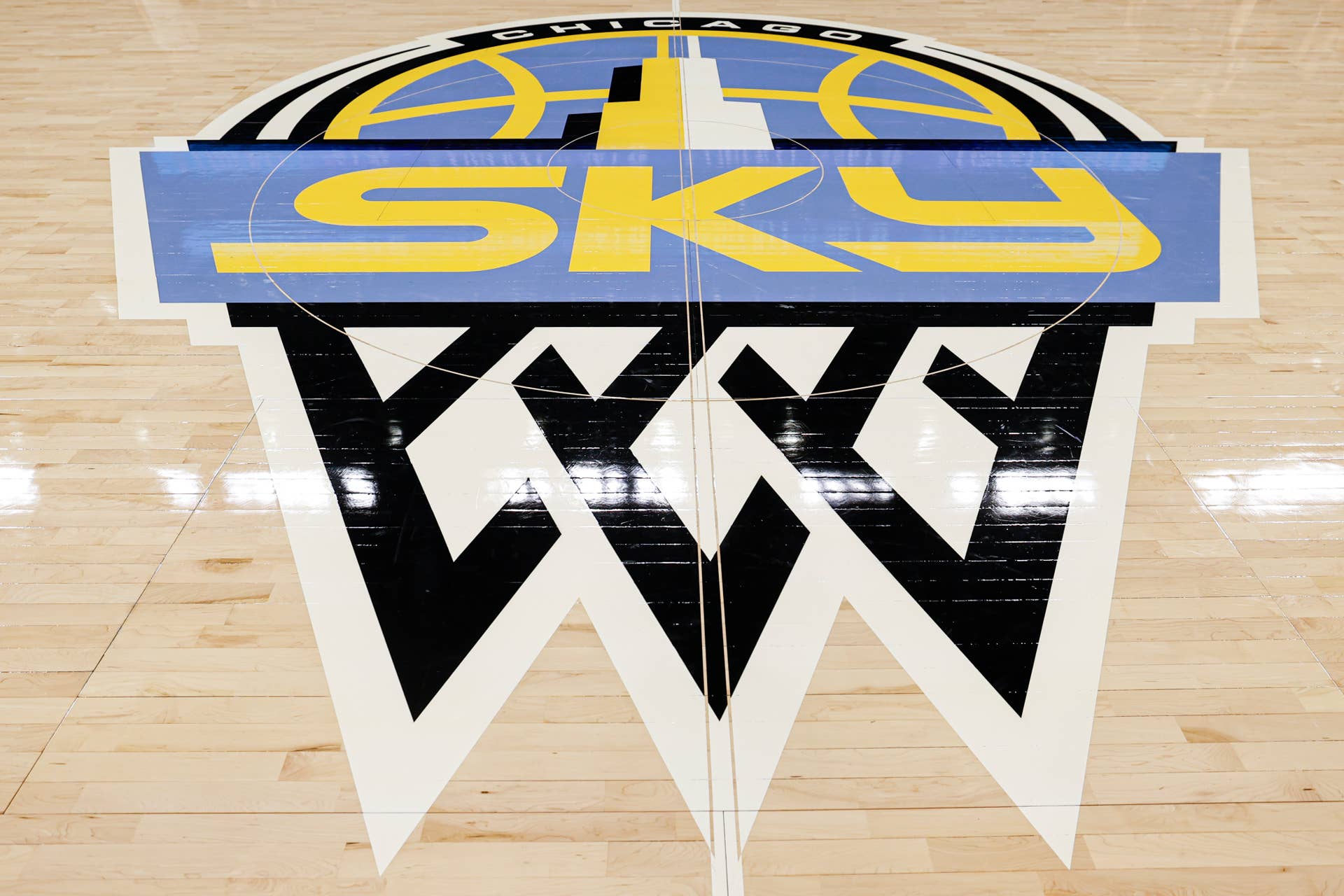 Chicago Sky Coach Lands Job Outside WNBA After Season - Athlon Sports