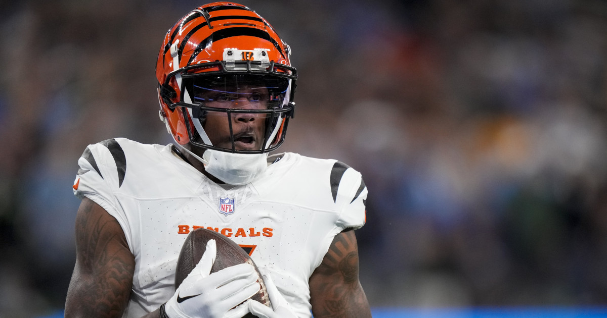 Tee Higgins' Mom Turns Heads With Aggressive NFL Criticism After Recent ...