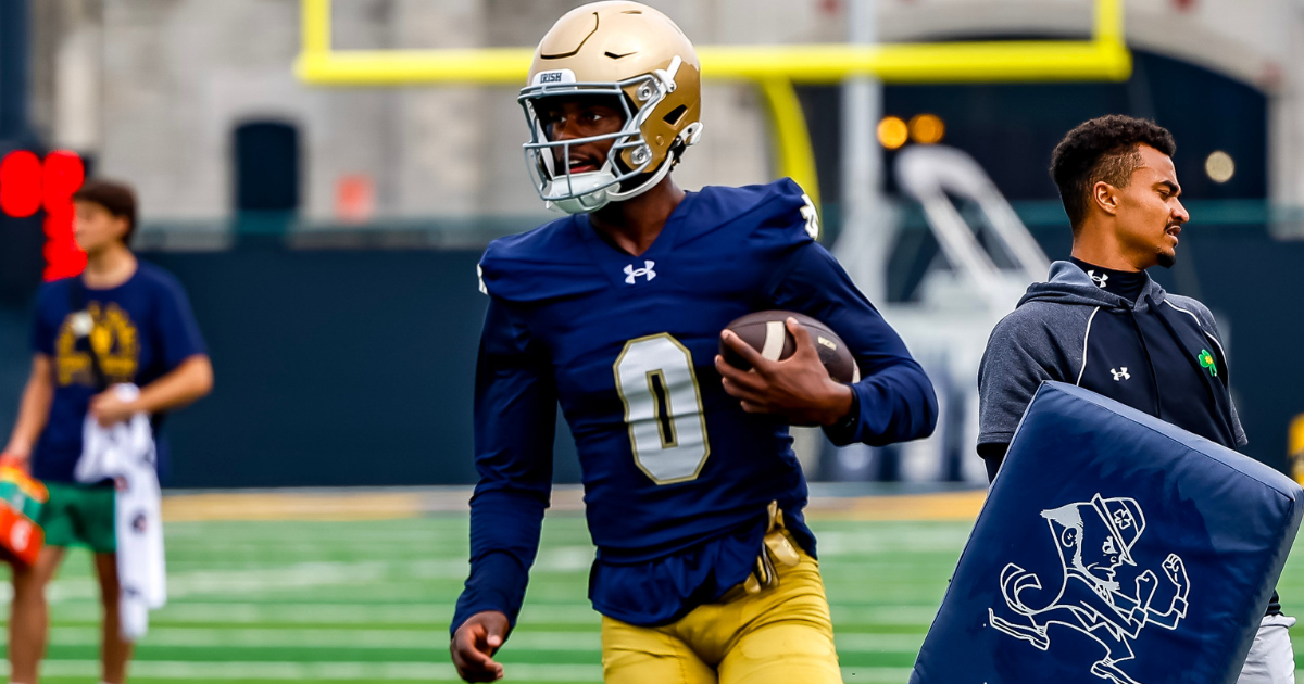 Transfer Wide Receivers Malachi Fields And Will Pauling Are Poised For ...