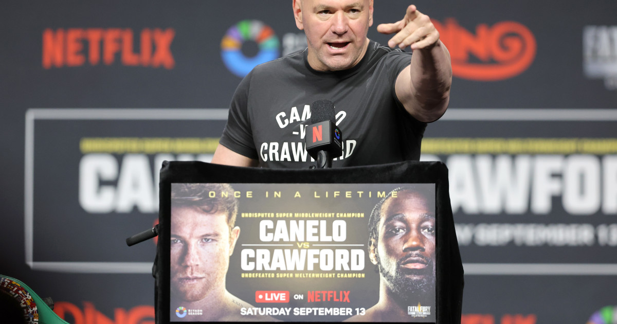 Boxing Star Volunteers to Step into Octagon after UFC Superfight Gets ...