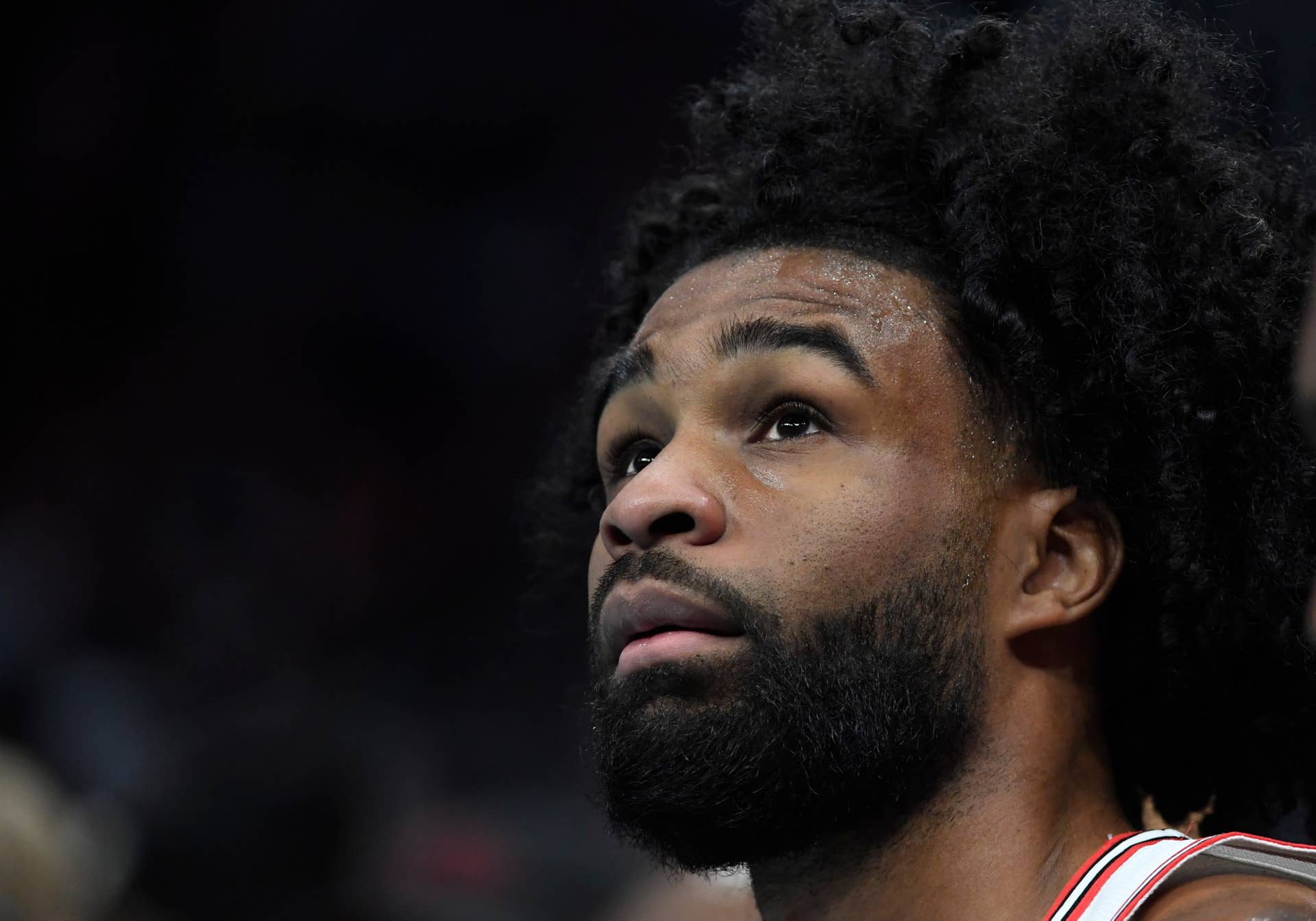 Bulls Announce Coby White News After Leaving Timberwolves Game - Athlon ...