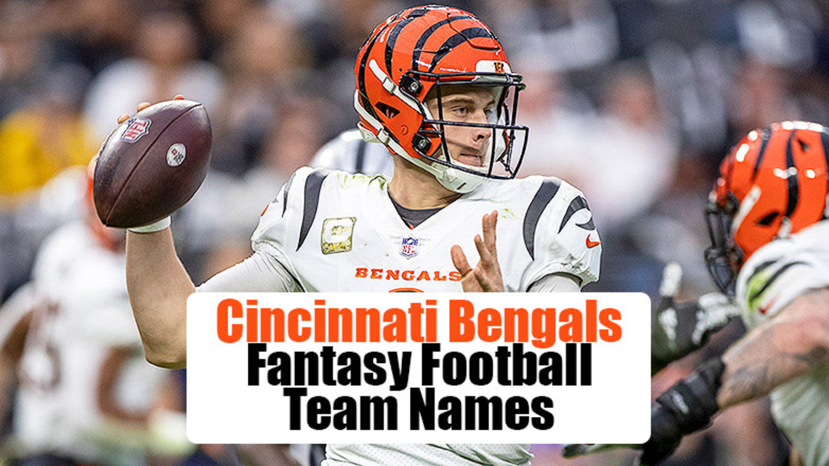 fantasy football team names new